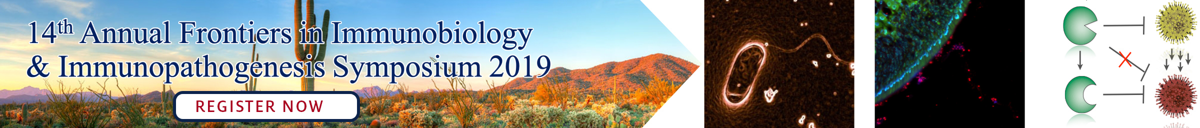 Frontiers In Immunology